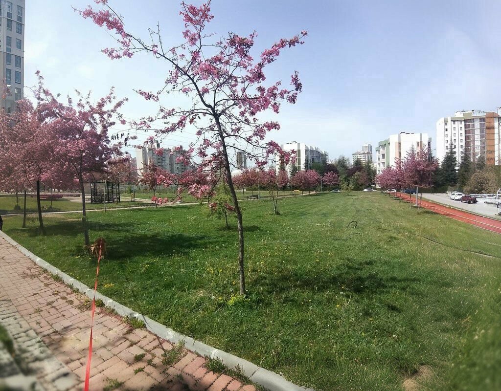 Kültür ve eğlence parkları Şehit Abdulkadir Yüzbaşıoğlu Parkı, Ankara, foto