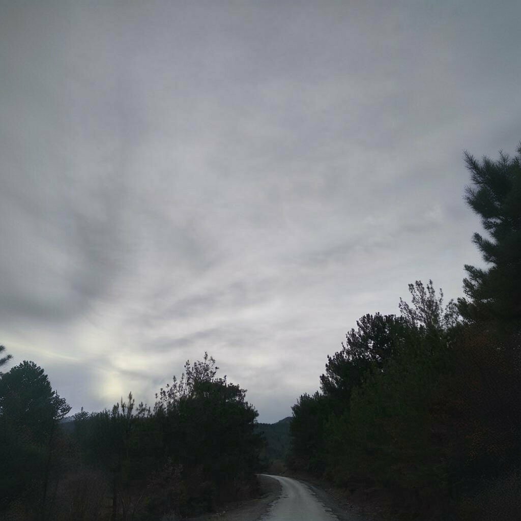 Muhtarlıklar Çaltı Köyü Muhtarlığı, Ayvacık, foto