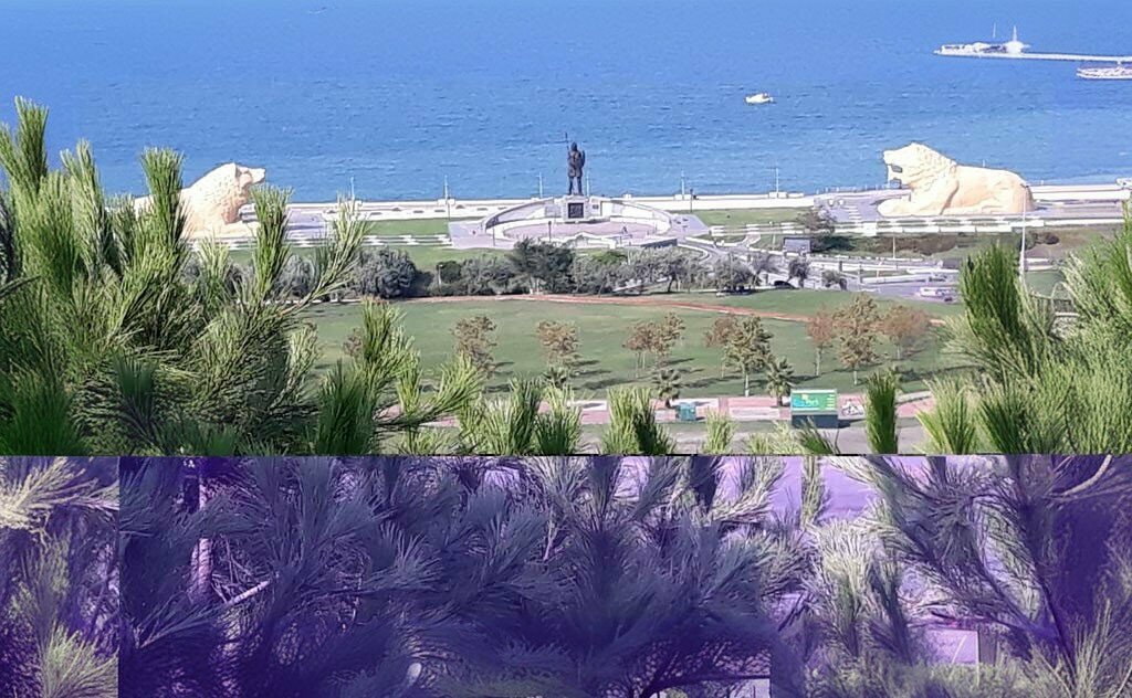 Süpermarket Şok, Samsun, foto