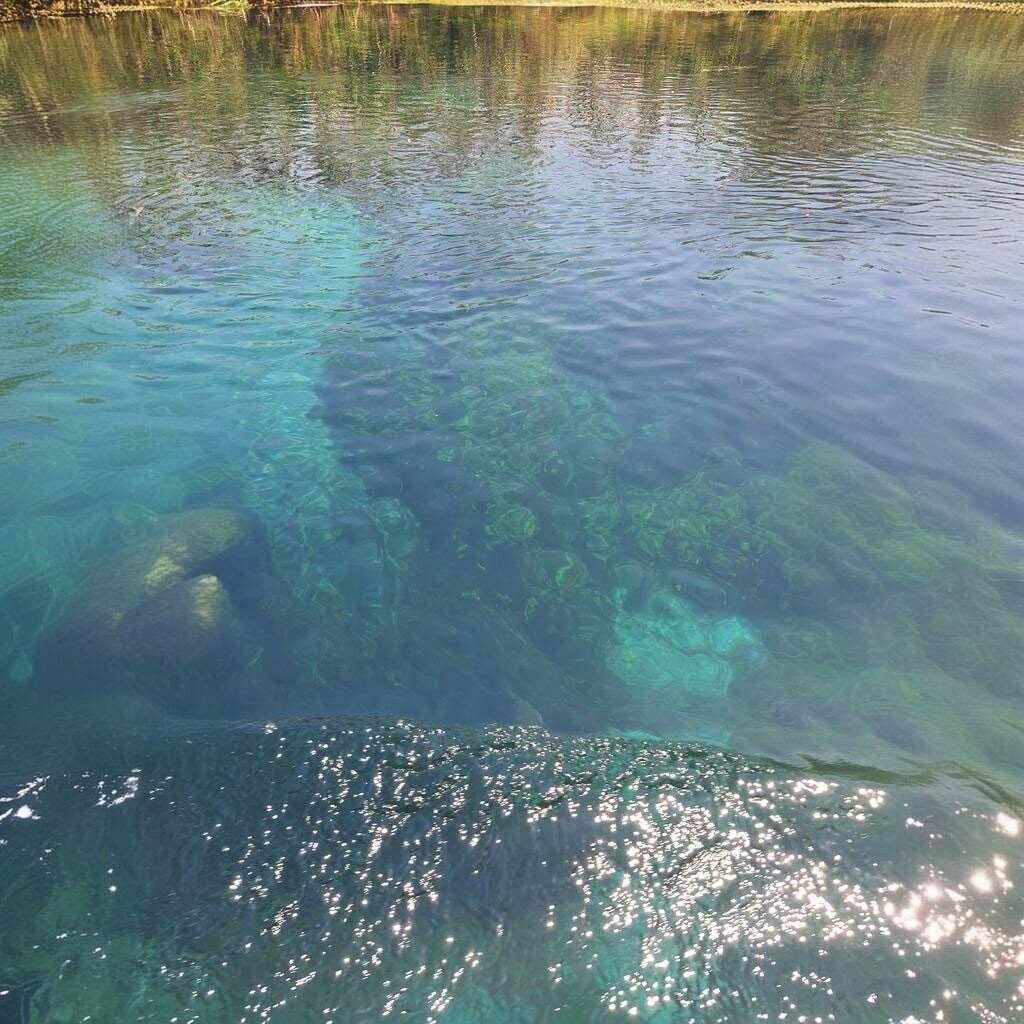 Tekne kiralama Edo Reis, Dünya, foto