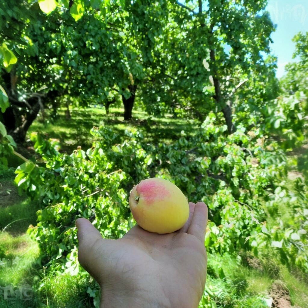 i̇lkokul Yukarı Topraklı İlkokulu, Aralık, foto