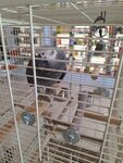 Eriş Eczanesi (Uçhisar Yukarı Mah., Fatih Cad., No:12, Merkez, Nevşehir), eczaneler  Nevşehir'den