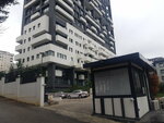 Kartal Wings (Petrol İş Mah., Adalar Sok., No:24CG, Kartal, İstanbul), yönetim ofisi  İstanbul'dan