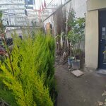 Yasin Fidancılık (Manisa, Yunusemre, Yeni Mah., 4701. Sok., 1/A), fidan yetiştiriciliği  Manisa'dan