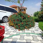 Peker Otomotiv (Konya, Selçuklu, Çaldere Mah.), otomobil satış galerileri  Konya'dan