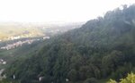 Gözükan Market (Ordu, Altınordu, Bucak Mah., Öceli Cad., 6), market  Altınordu'dan