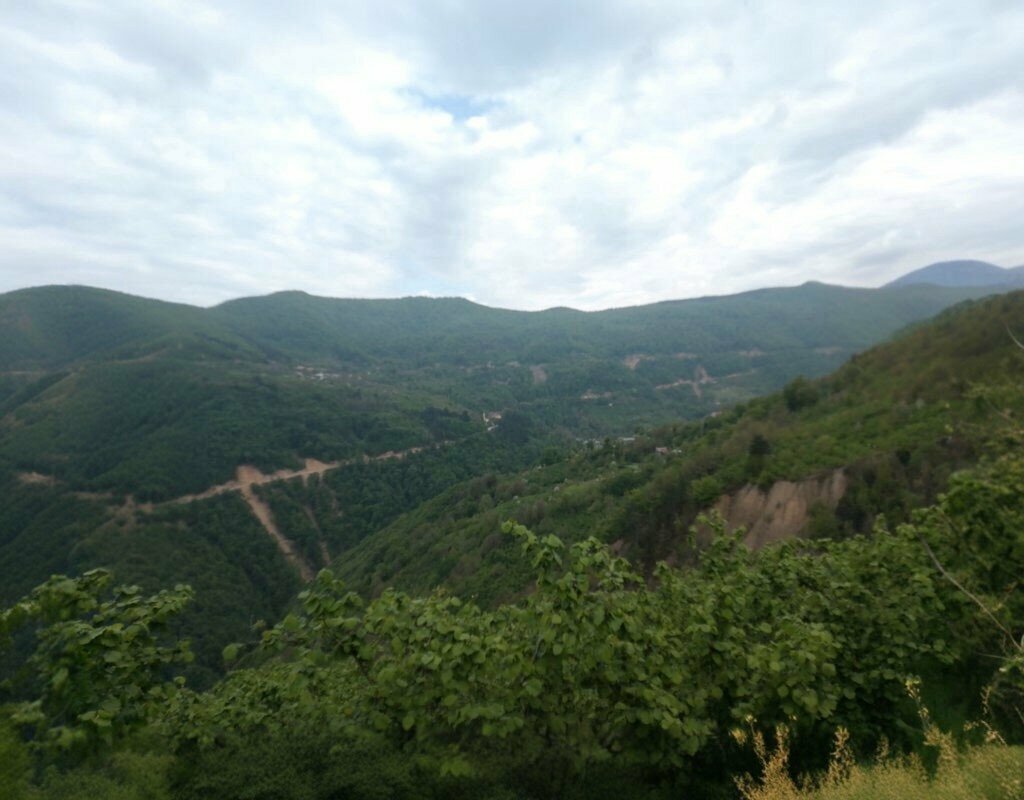 Muhtarlıklar Yaşarlı Köy Muhtarlığı, Bozkurt, foto