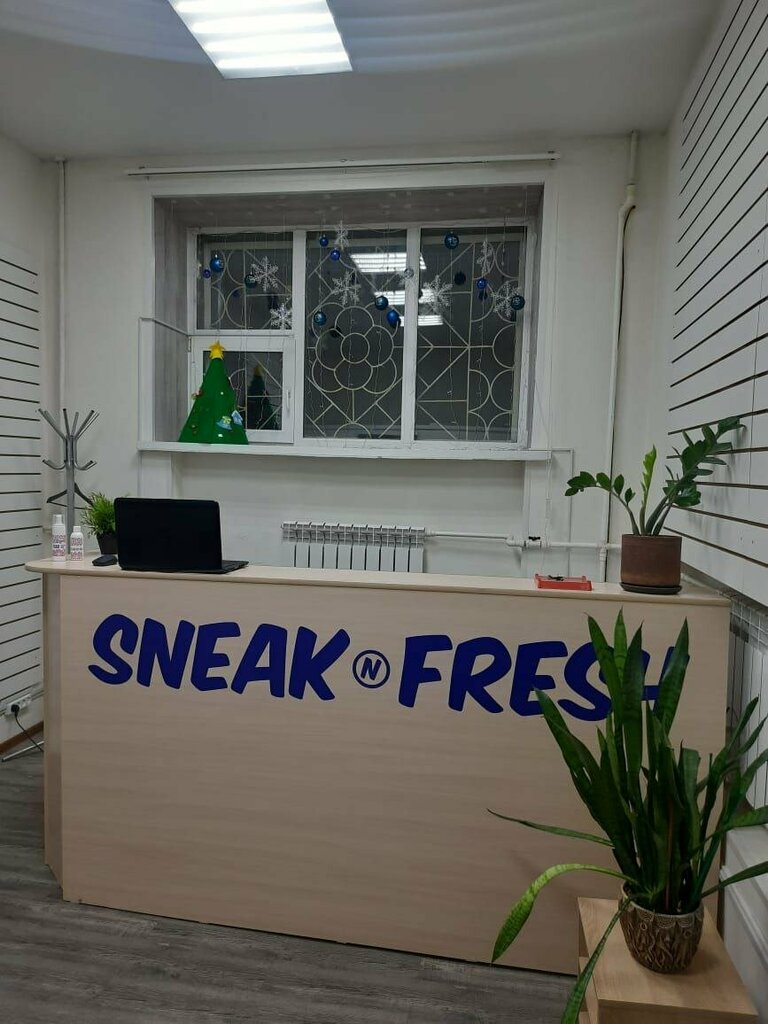 Kuru temizlemeciler SneakNFresh, Yurga, foto
