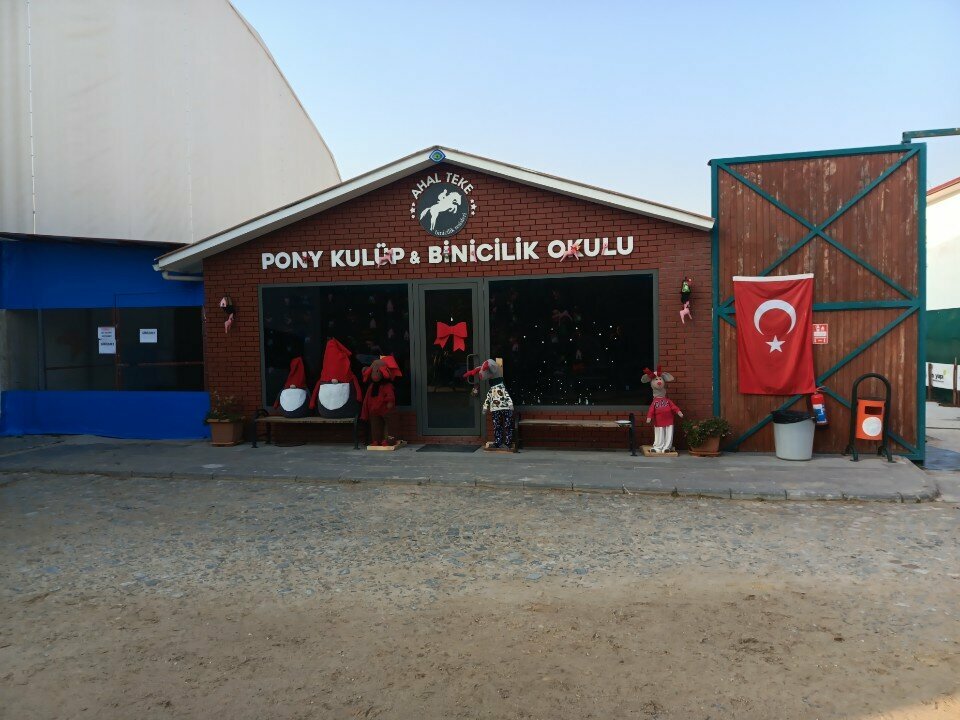 At ve binicilik kulüpleri Ahal Teke Pony Kulüp & Binicilik Okulu, Ankara, foto