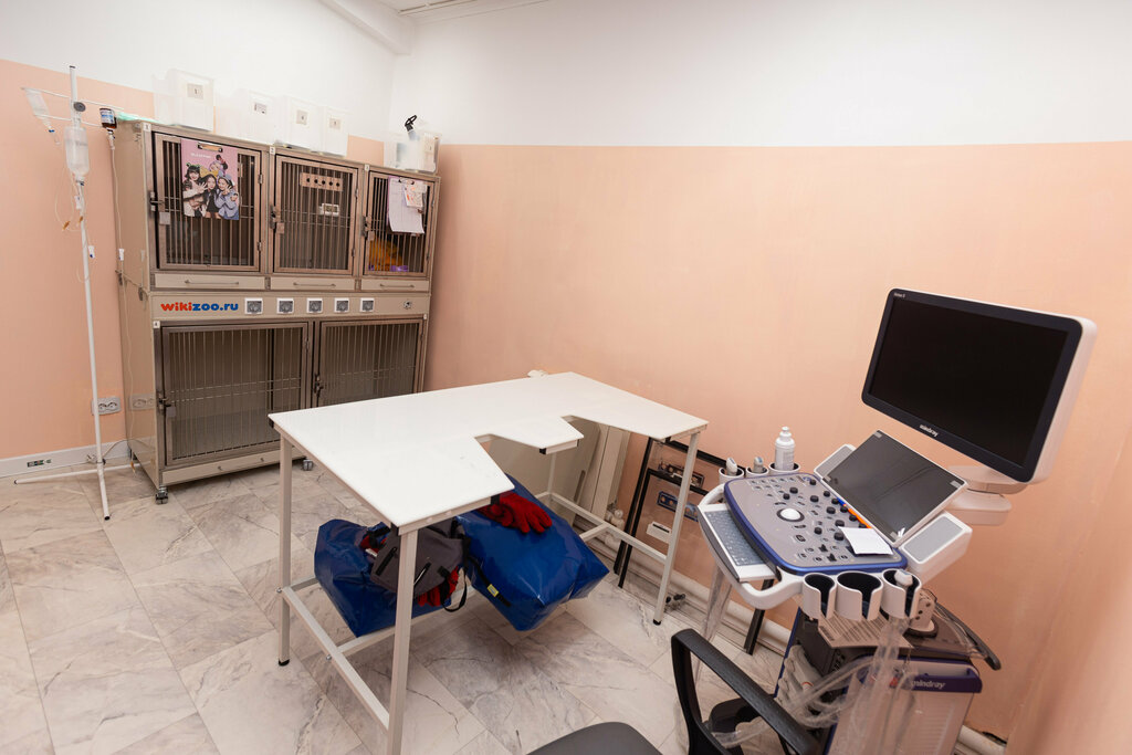 Veteriner klinikleri Vetpolis, Yakutsk, foto