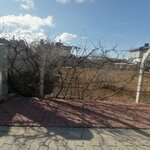 Toptan Havuç Satışı (Konya, Meram, Karahüyük Mah., Meram Sok.), sanayi kuruluşu  Konya'dan