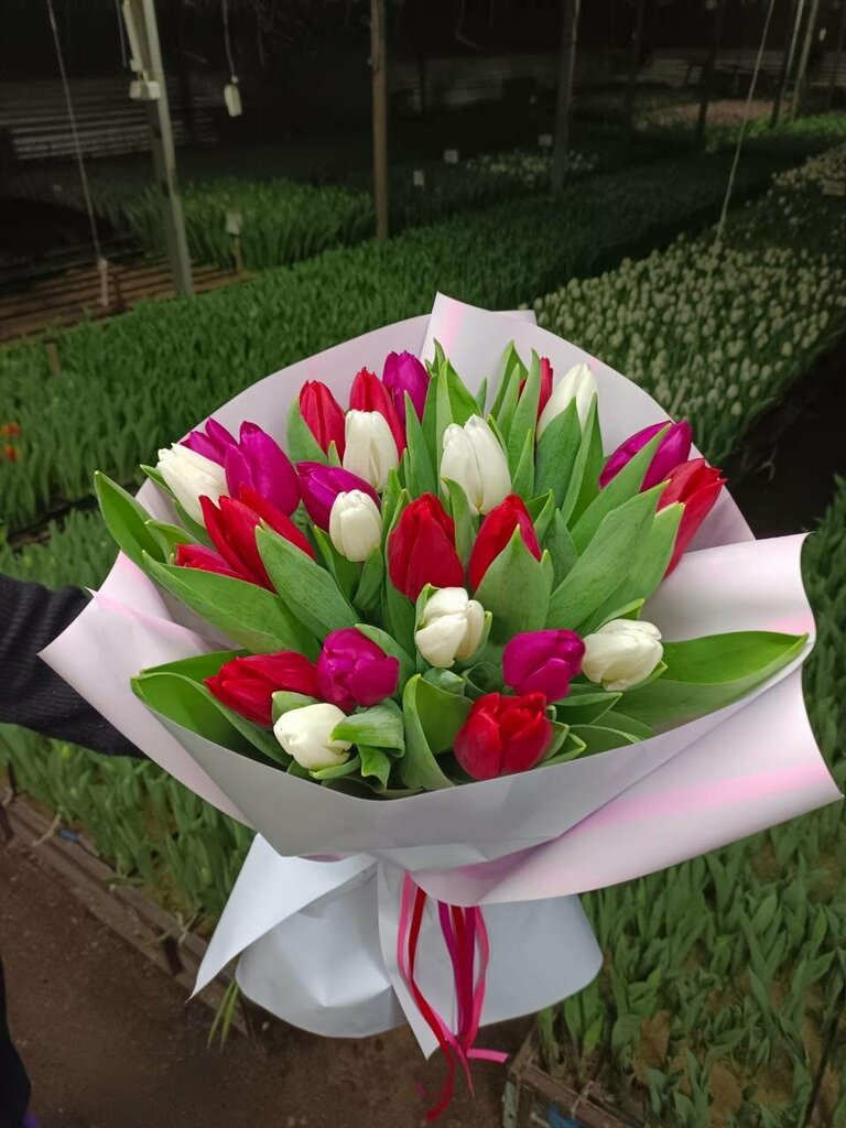 Sera ve bahçe ürünleri База цветов в Слободе, Minskaya oblastı, foto