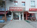 Sungur Emlak (Ankara, Sincan, Peçenek Cad., 59), emlak ofisi  Ankara'dan