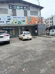 Nkosa butchery (Lusaka, Kabwata, Matala Road, 12910), kasap, şarküteri  Zambiya'dan