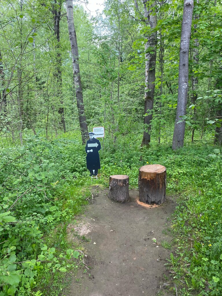 Unutulmaz olayların yeri The Green Study of V. Lenin, Sestroretsk, foto