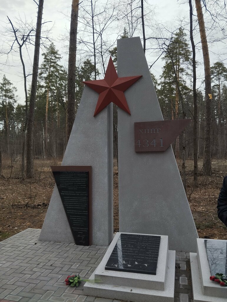 Mezarlıklar Воинское госпитальное захоронение ХППГ 4341, Voronejskaya oblastı, foto
