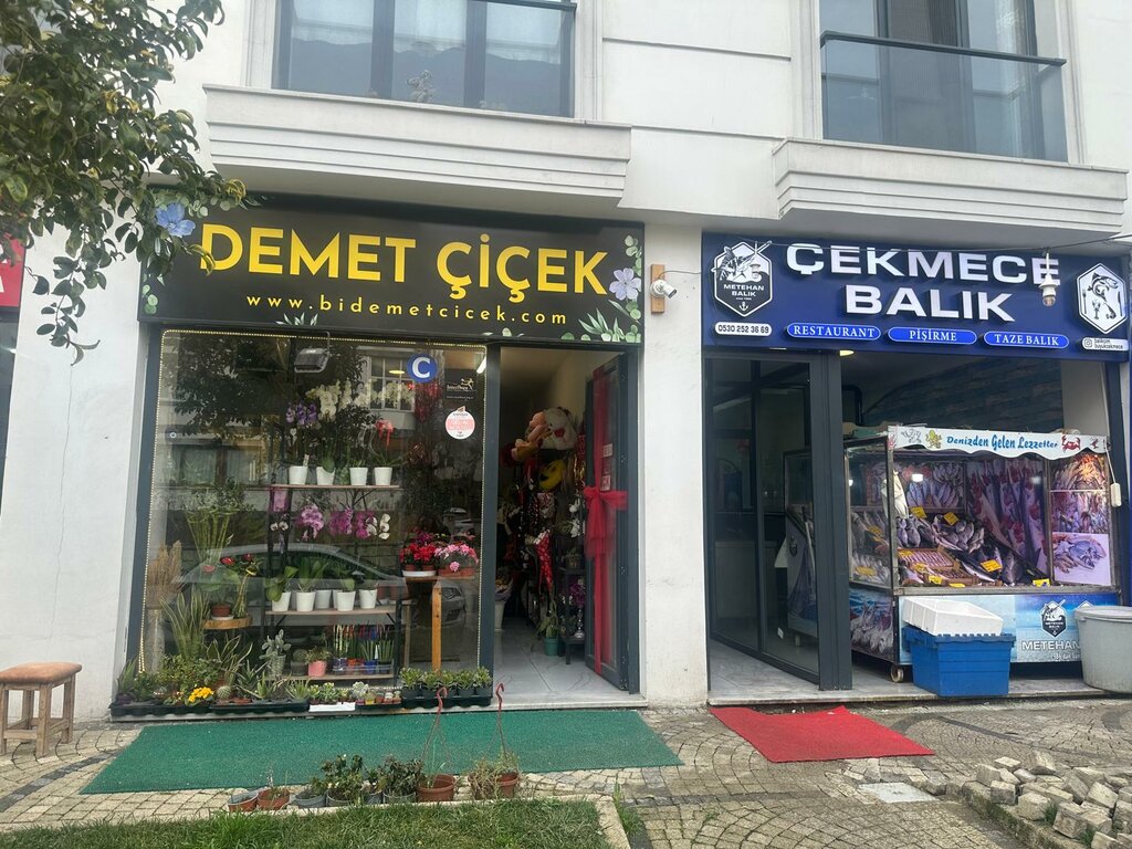 Emlak ofisi Altin Emlak, İstanbul, foto