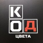 Код Цвета (Pushkarskaya Street No:51), otomobil boyaları  Perm'den