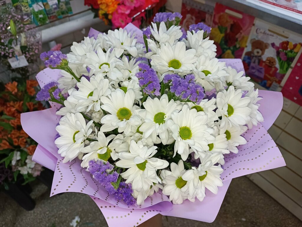 Çiçekçiler Flora Art, Tverskaya oblastı, foto