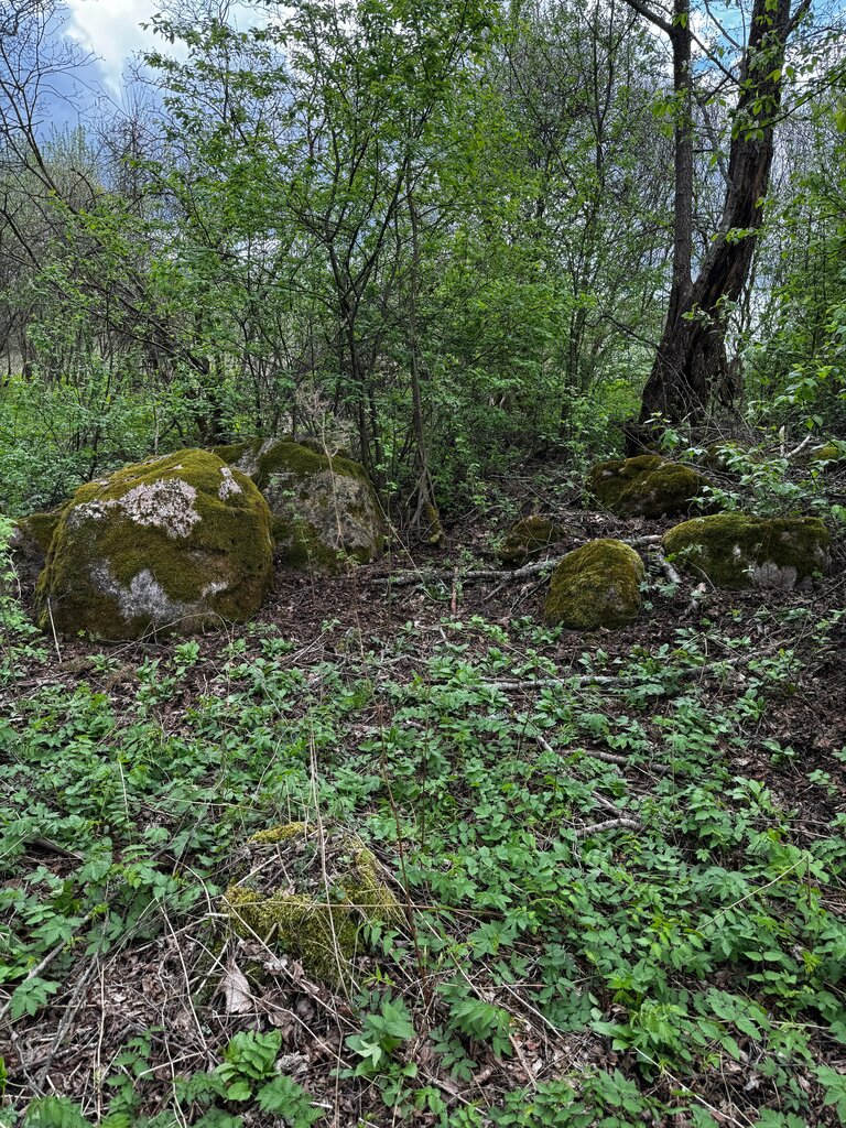 Turistik yerler Языческое капище, Vitebskaya oblastı, foto