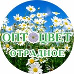 OptCvet (Dekabristov Street No:20к2), çiçekçiler  Moskova'dan