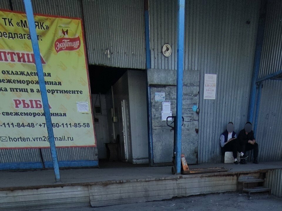 Kanatlı hayvan ürünleri ve yumurta Mayak, Voronej, foto