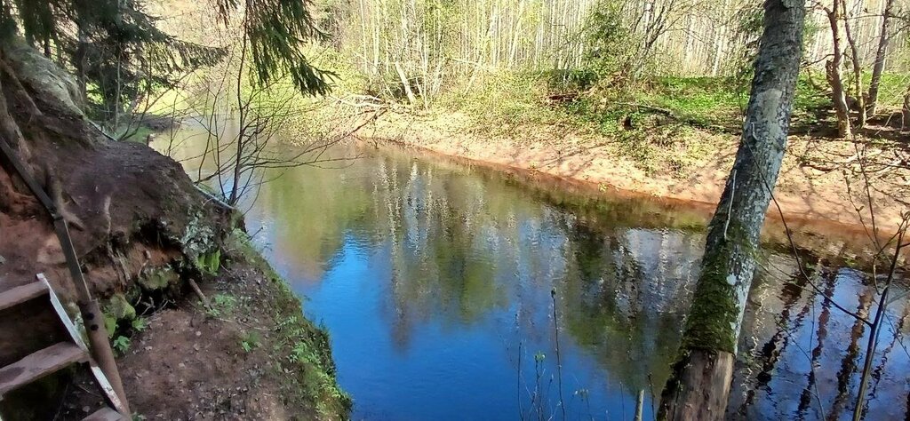 Pınar, çay Spring, stream, Saint‑Petersburg ve Leningradskaya oblastı, foto