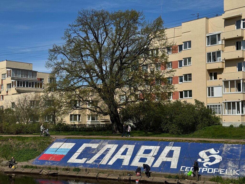 Doğa Дуб, Sestroretsk, foto