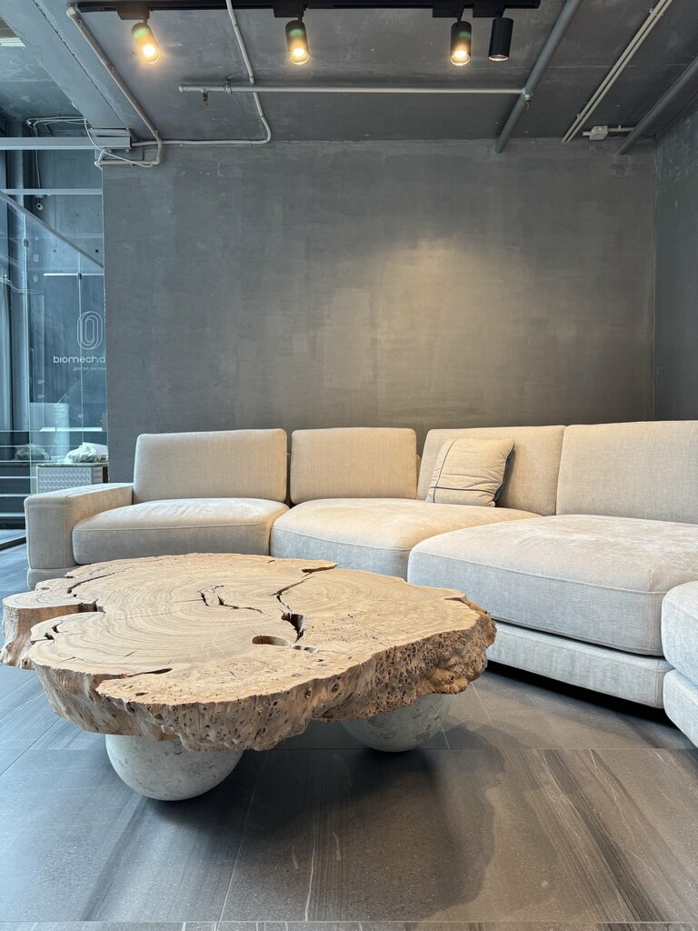 Özel mobilya yapımı Sfera Interiors, Moskova, foto