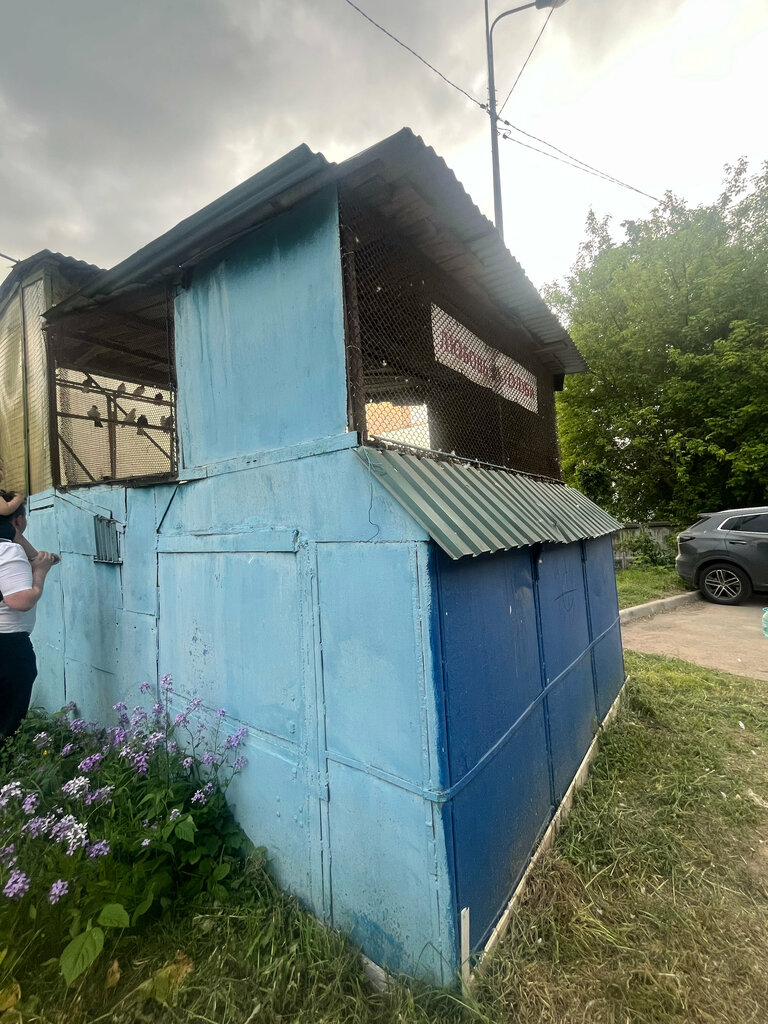 Kuşlar için büyük kafes Голубятня Любовь и Голуби, Podolsk, foto