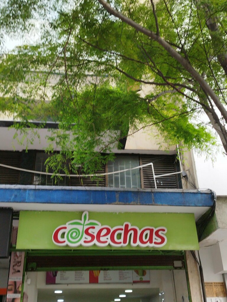 Alkolsüz içecekler Cosechas, Medellin, foto