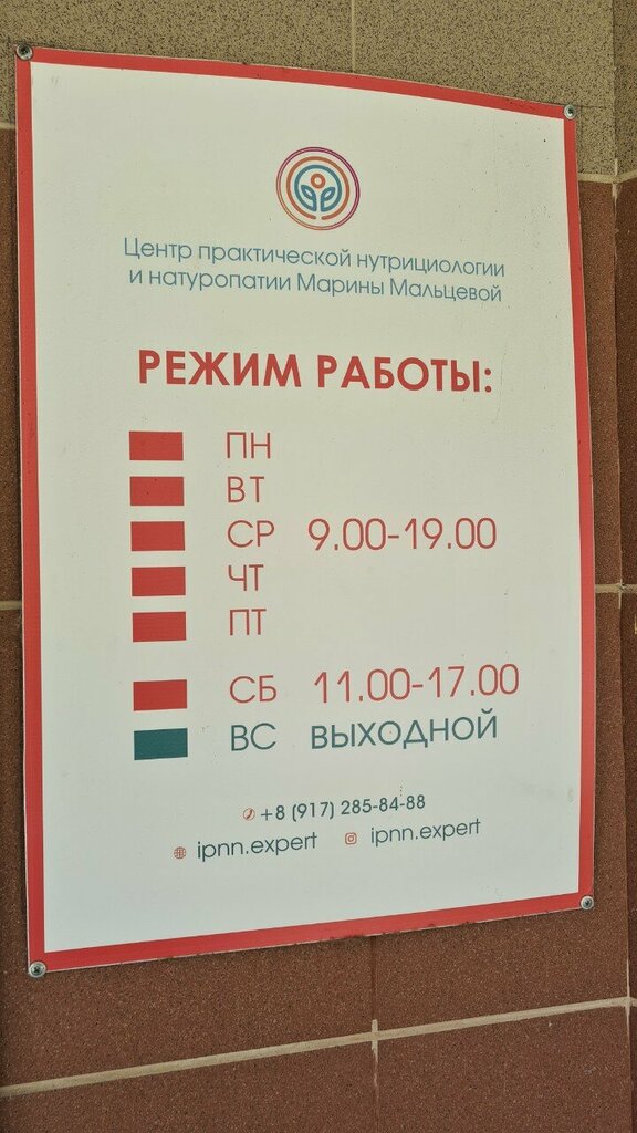 Kurs Institute of practical nutrition and naturopathy, Kazan, foto