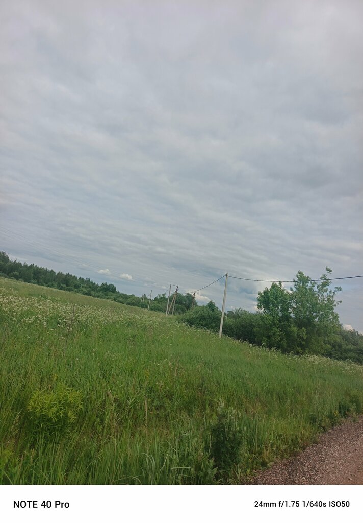 Çöp alanları Trash and garbage disposal area, Yaroslavskaya oblastı, foto