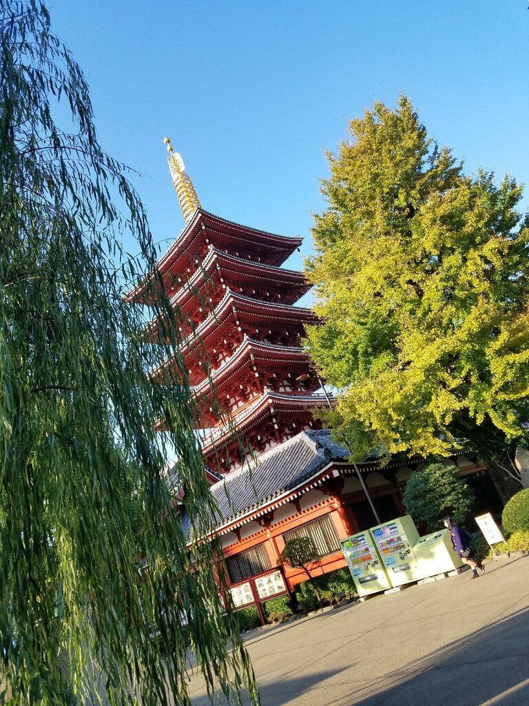 Pansiyonlar, hosteller Sakura Hostel Asakusa, Tokyo, foto