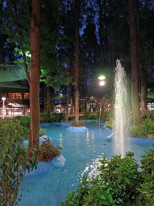 Ormanpark (Şirinevler Mah. Adnan Menderes Cad.No: 293-A Adapazarı / SAKARYA ), kafe  Adapazarı'ndan