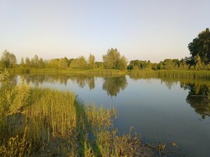 Пляж (Altai Territory, Pervomayskiy rayon, Beryozovskiy selsovet), plaj  Altayski krayından