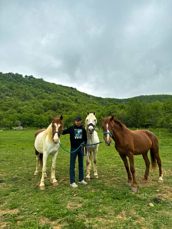 Resort oteller, tesisler Усадьба Солнечноселье, Kırım Cumhuriyeti, foto