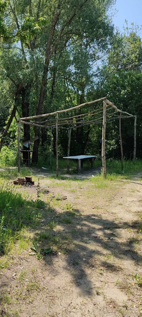 Plaj Пляж, Tambovskaya oblastı, foto