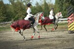 Konno-Sportivny Klub Allyur (Irkutsk Region, Angarsk, ekotropa Po sledu reki Kitoy), at ve binicilik kulüpleri  Angarsk'tan