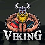 Viking (Rostov-on-Don, Krasnoarmeyskaya Street, 33), sports nutrition  Rostov‑na‑Donu'dan