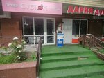 Cvetok_almaty (Kazybek Bi Street No:139), çiçekçiler  Almatı'dan