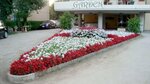 Floricoltura Casali Azienda Agricola (Emilia-Romagna, Rimini, Bellaria-Igea Marina, Via Cremona, 6), çiçek teslimatı  Bellaria – Igea Marina'dan