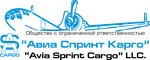 Avia Sprint Cargo (Yuriya Gagarina Avenue No:34к6литА), uçak kargo  Saint‑Petersburg'dan