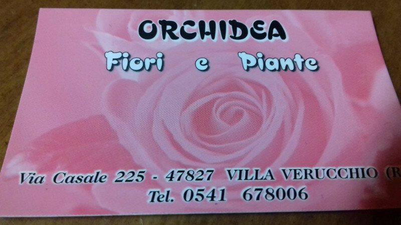 Çiçek teslimatı Orchidea Piante e Fiori, Emilia‑Romagna, foto