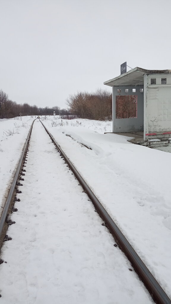 Tren istasyonu остановочный пункт 55 километр, Orlovskaya oblastı, foto