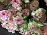 L'Arte del Fiore (Emilia-Romagna, Parma, Strada Montechiarugolo, 7), çiçek teslimatı  Emilia‑Romagna'dan