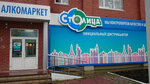 Столица (No:10Б, 4-y mikrorayon, Urban-Type Settlement oft Luchegorsk), alkollü içecekler  Primoriye'den