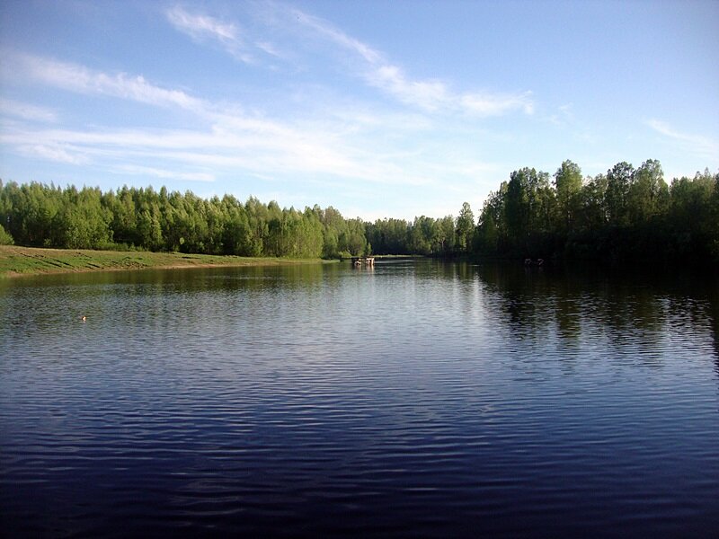 Yazlık yerleşim Dnp Chernichnyj, Saint‑Petersburg ve Leningradskaya oblastı, foto