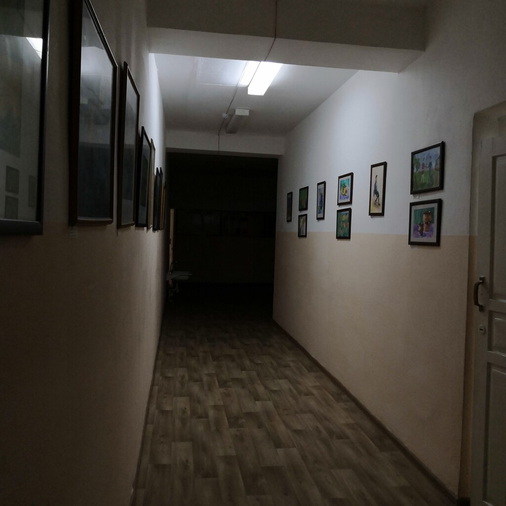 Sanat okulları МБУ ДО Детская школа искусств, Altayski krayı, foto