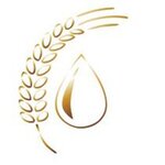 SpirtPromProekt (Pionerskaya ulitsa No:9), proje enstitüleri, kurumları  Tambov'dan